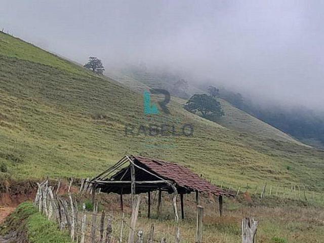 SÍTIO DE FÁCIL ACESSO EM DELFIM MOREIRA MG