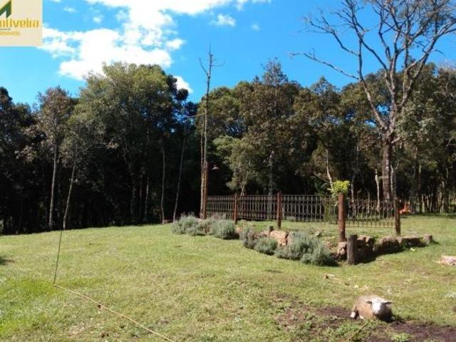 Sítio de frente para o asfalto em Cambará do Sul!