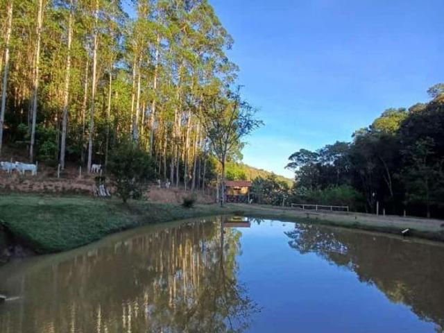 Sítio em Paraibuna