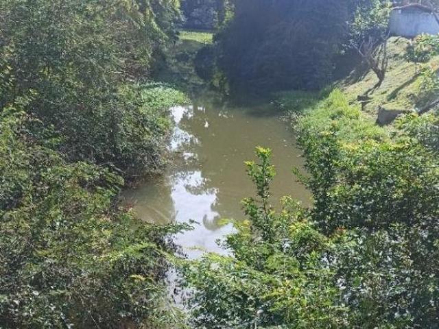 Sítio Deslumbrante em Paraibuna SP com Vista para o Rio