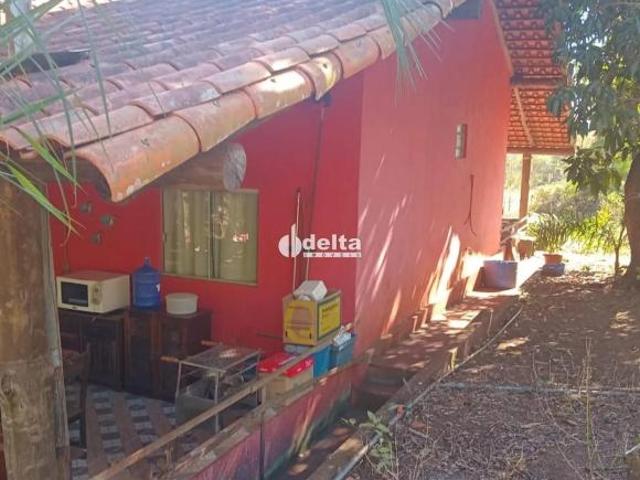 Sítio disponível para venda a 35 km de Uberlândia MG