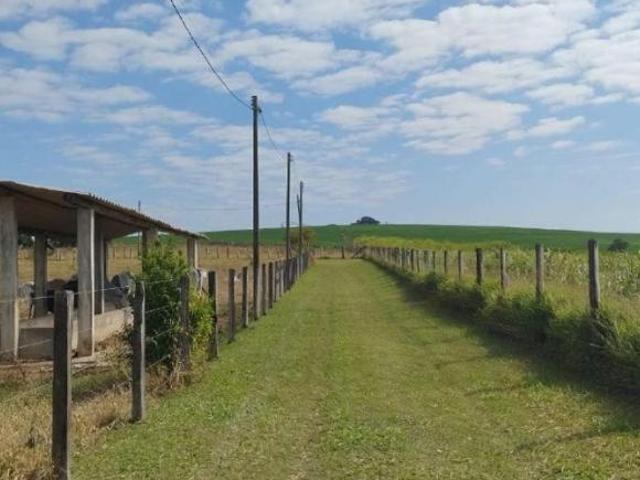 Sítio divisa entre Araçoiaba da Serra e Capela do Alto