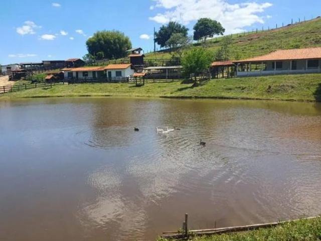 SÍTIO DOS SONHOS À VENDA — OPORTUNIDADE RARA EM SÃO LOURENÇO/MINAS