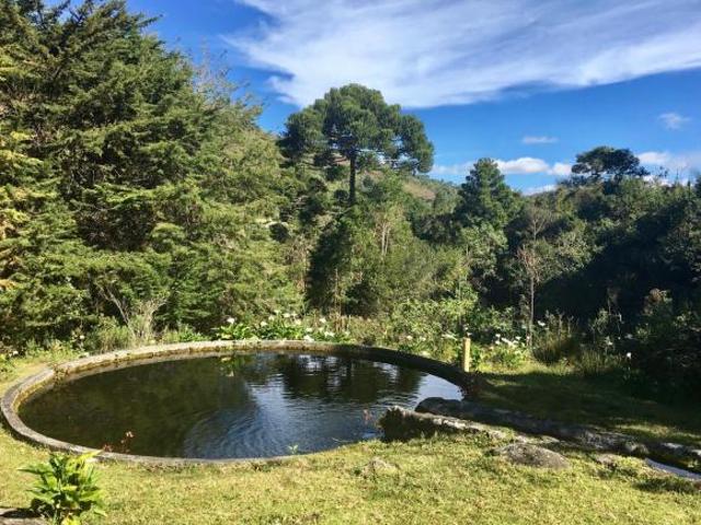 Sítio dos Sonhos em Sapucaí Mirim MG Um Refúgio na Serra da Mantiqueira!