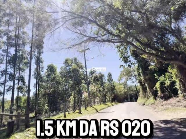SÍTIO EM TAQUARA PLANO PRÓXIMO DA RS020