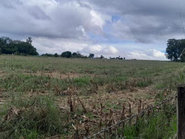 Sitio em tatui 6 alqueires 1 casa Terra vermelha Excelente localização Documentação ok Valor 1.65