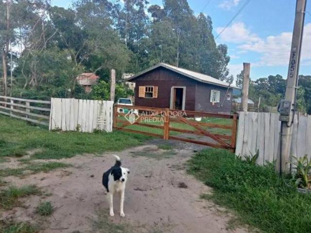 Sítio em Terra de Areia com 2.5 hectares com escritura