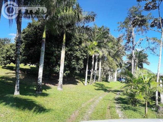 Sítio em Zona Rural Iguape SP