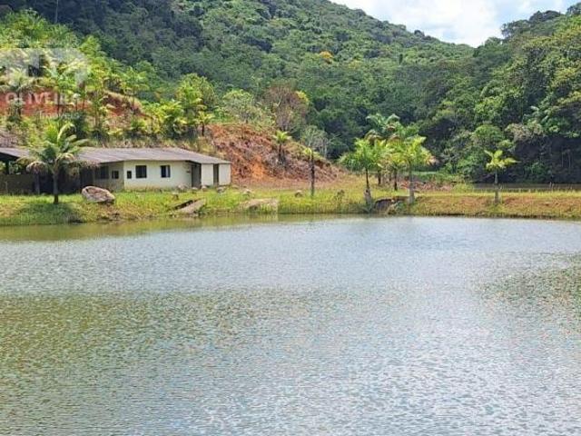 Sítio em Zona Rural Juquiá SP