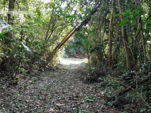 Sítio em Zona Rural Pariquera Açu