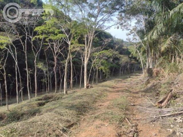 Sítio em Zona Rural Pariquera Açu SP