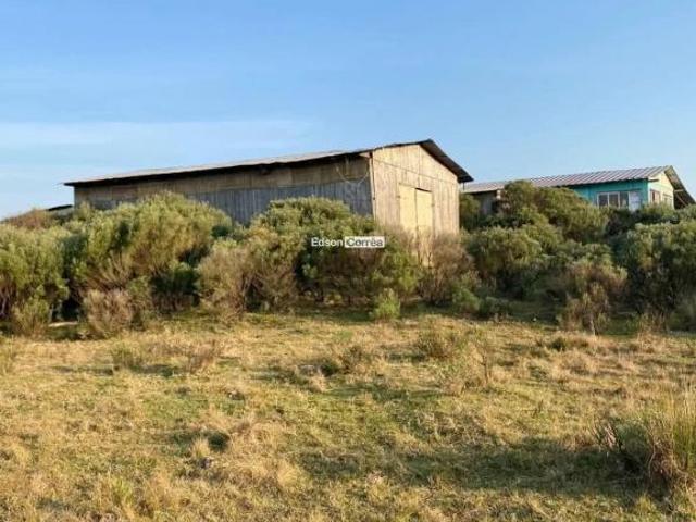 Sítio em Zona Rural, São Francisco de Paula/RS