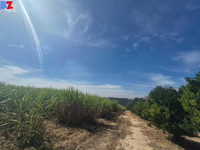 Sítio em Área Rural de Boituva 5 ALQUEIRES, Boituva/SP