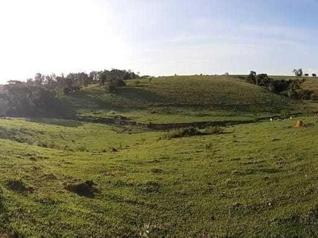 Sítio em Área Rural de Boituva, Boituva/SP