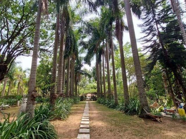 Sítio em Área Rural de Santo Antônio de Posse, Santo Antônio de Posse/SP de 600m² à venda por R$ 3.5