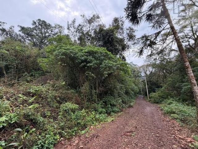 Sítio em Boa Esperança, Rolante/RS