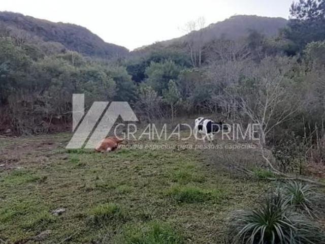 SÍTIO EM CANELA, 3 HECTARES, LINHA SÃO PAULO