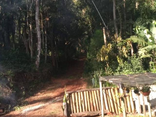 SITIO EM CAETÉ COM RIACHO NOS FUNDO