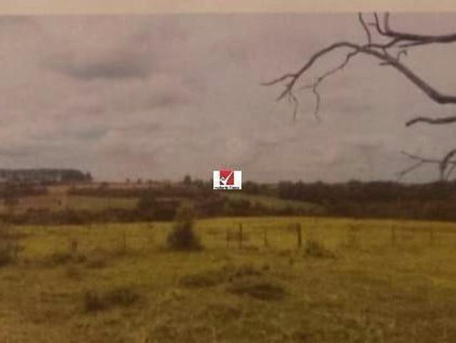 Sitio em Cajuru SP