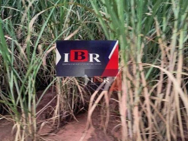 Sitio em Cardoso SP