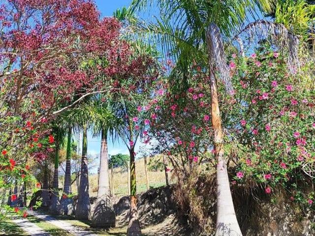 Sitio Em Catuçapa