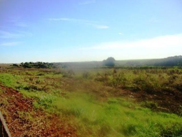 Sítio em Centro, Jaguariúna/SP de 0m² à venda por R$ 1.200.000,00