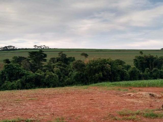 Sítio em Centro, Jaguariúna/SP de 0m² à venda por R$ 2.950.000,00