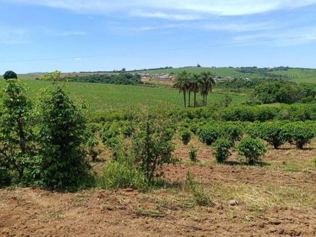 Sítio em Centro, Jaguariúna/SP de 2000m² 3 quartos à venda por R$ 3.000.000,00