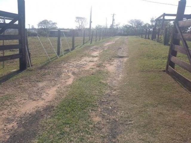 Sítio em Centro, Jaguariúna/SP de 200m² à venda por R$ 3.000.000,00