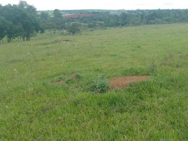 Sitio em cesario langer 5 alqueires Não tem casa Terra vermelha Valor 1.200,000,00