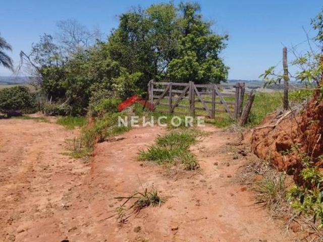 Sítio em Estrada Bairro Coqueirinho Área Rural de Itaporanga Itaporanga/SP