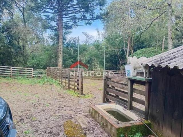 Sítio em Estrada das Lagoas Samambaia São Francisco de Paula/RS
