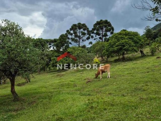 Sítio em Estrada José Velho Jose Velho São Francisco de Paula/RS