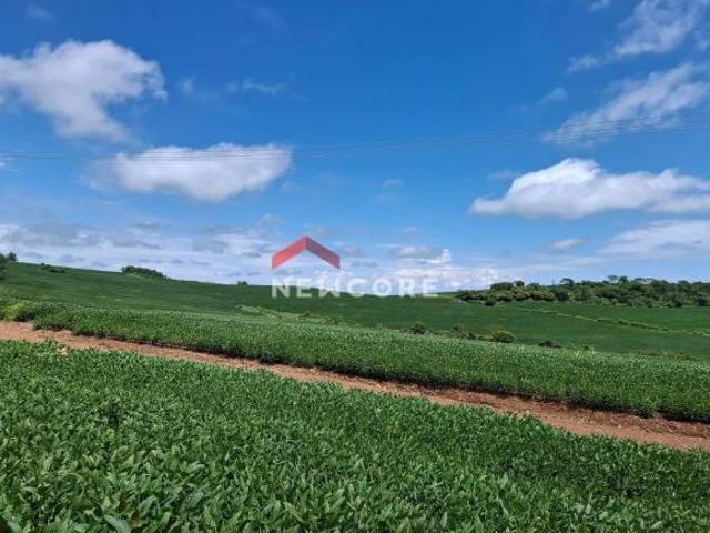 Sítio em Estrada Ribeirão Barra Bonita Primeiro de Maio Pr Rural Primeiro de Maio/PR