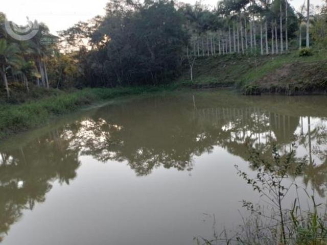 Sítio em Iguape Iguape SP