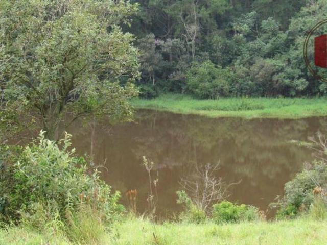 Sitio em Itu a 3 km do asfalto com 20 alq