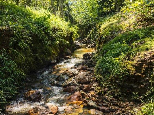 Sítio em Joanópolis SP
