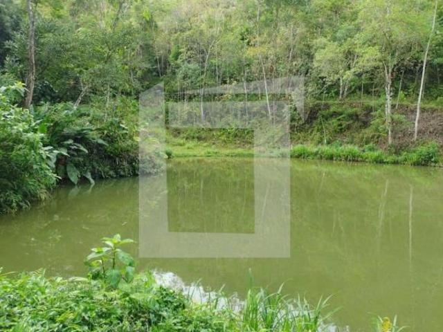 Sítio em Juquiá cod: 5821 F: 11 97302 9229 CESAR