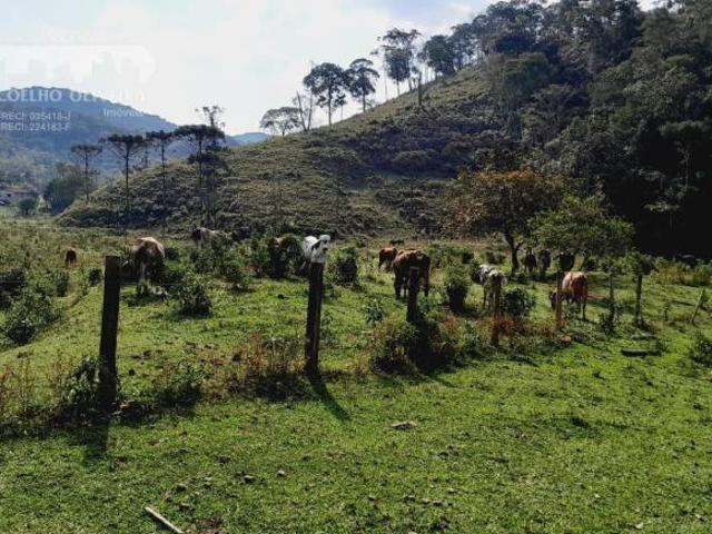 Sítio em Juquiá SP