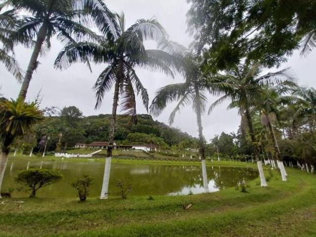 SÍTIO EM JUQUITIBA COD:5933 F: 11 97302 9229 CESAR