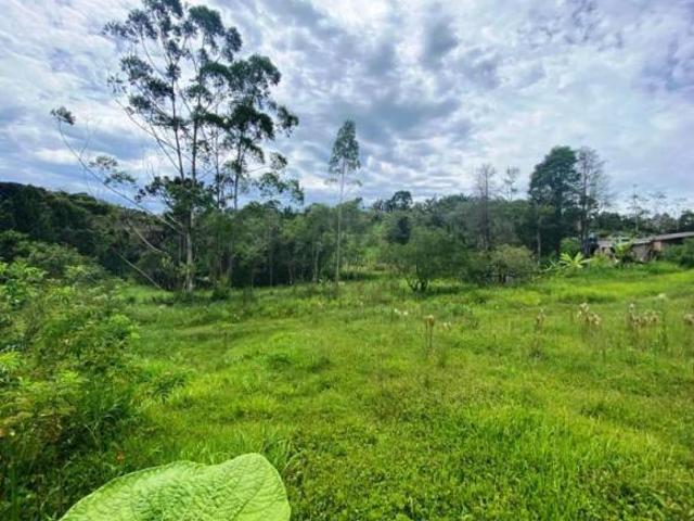 Sítio em Juquitiba com área de 15.000,00 m² com 3 lagos