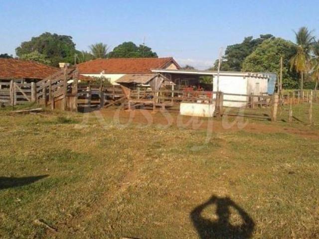 Sítio em Lagoa da Garça Rubinéia SP