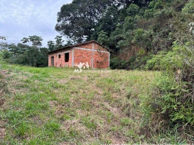 SÍTIO EM MEIO A MATA NATIVA CONFIRA