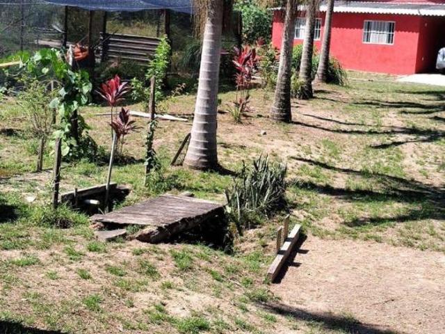 Sítio em Miracatu SP COD: 5902 F: 11 97302 9229 CESAR