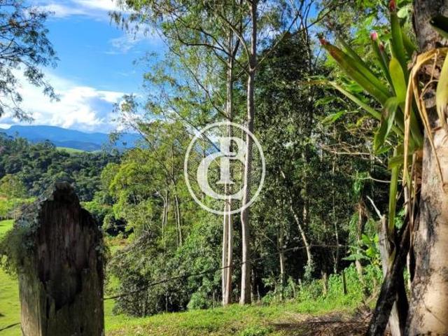 Sítio em monteiro lobato sp