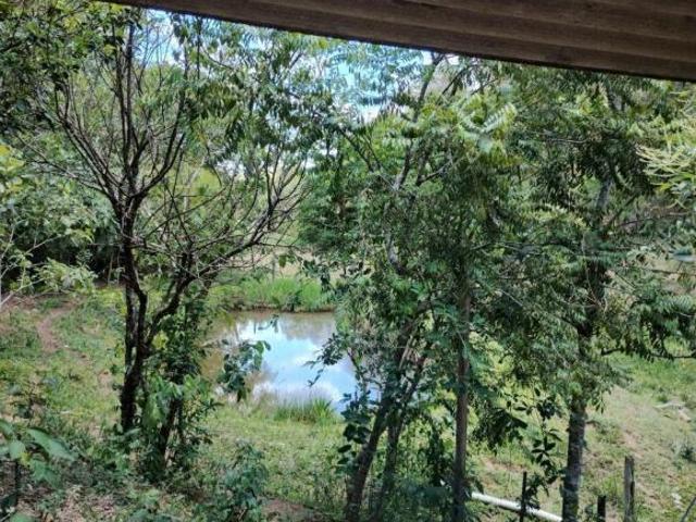 Sítio em Mostardas, Monte Alegre do Sul/SP de 0m² 4 quartos à venda por R$ 711.000,00