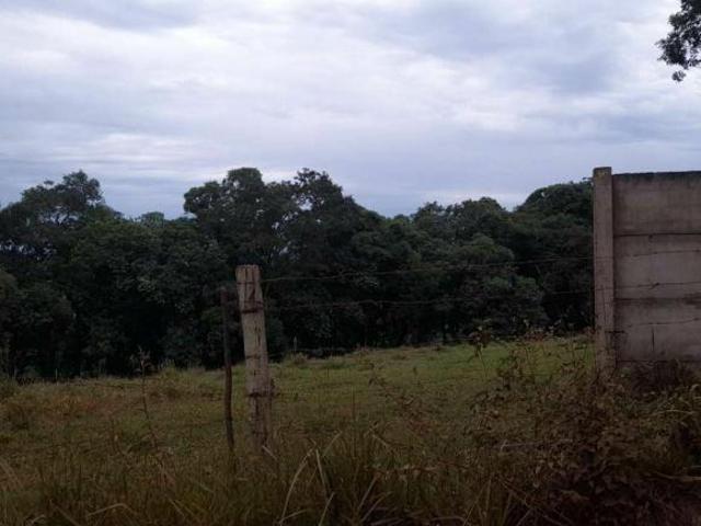Sítio em Município de Angatuba Nunes Angatuba/SP