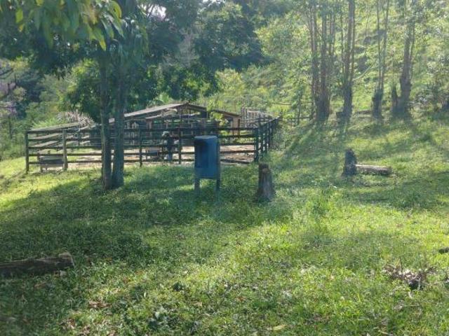 Sítio em Natividade da Serra