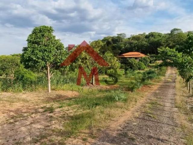 Sítio em ótima localização, à 700m do asfalto, topografia plano