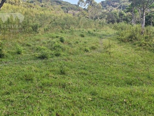 Sítio em Pariquera Açu, Braço Magro